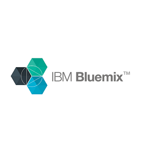 ibm blue mix 2 - Decision Systems